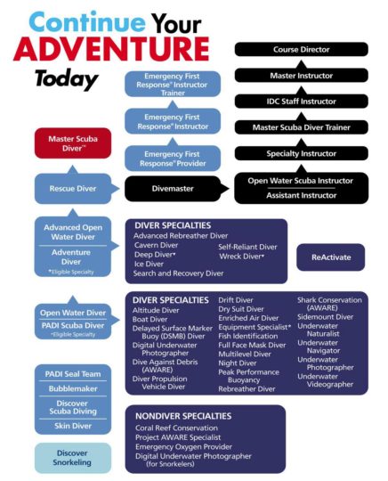 PADI Flow Chart - Nautilus Diving - All levels of diving